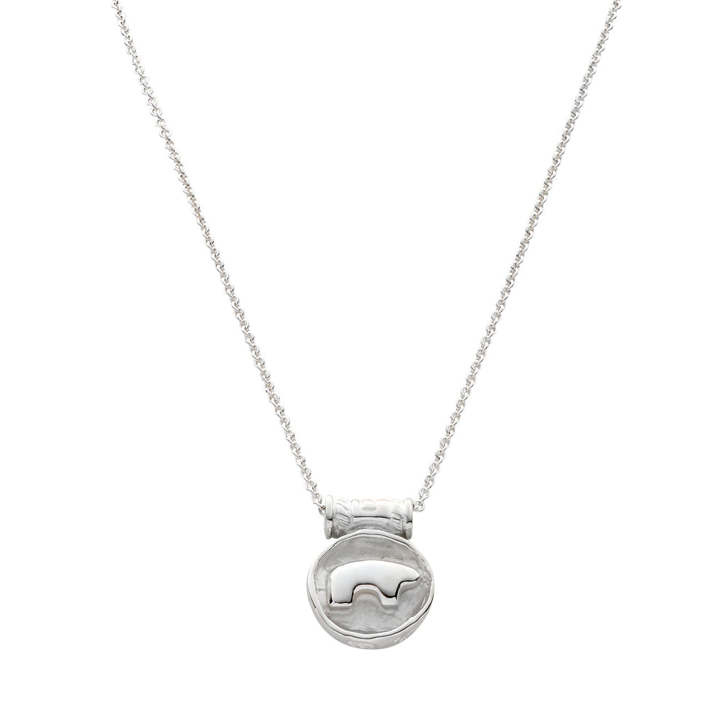 Sterling Silver Reversible Coin Necklace – The Golden Bear